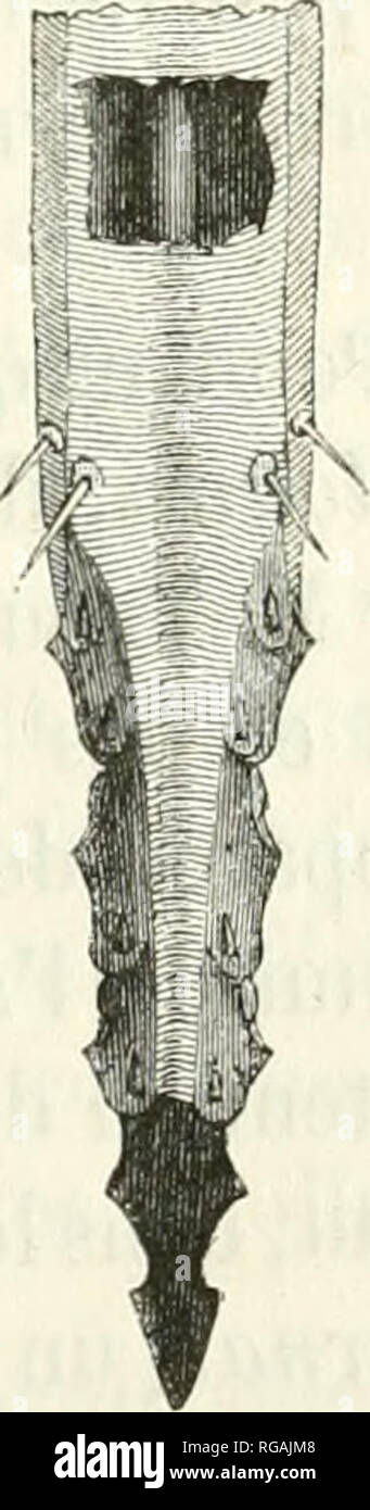 Note de soin hi-res stock photography and images - Alamy