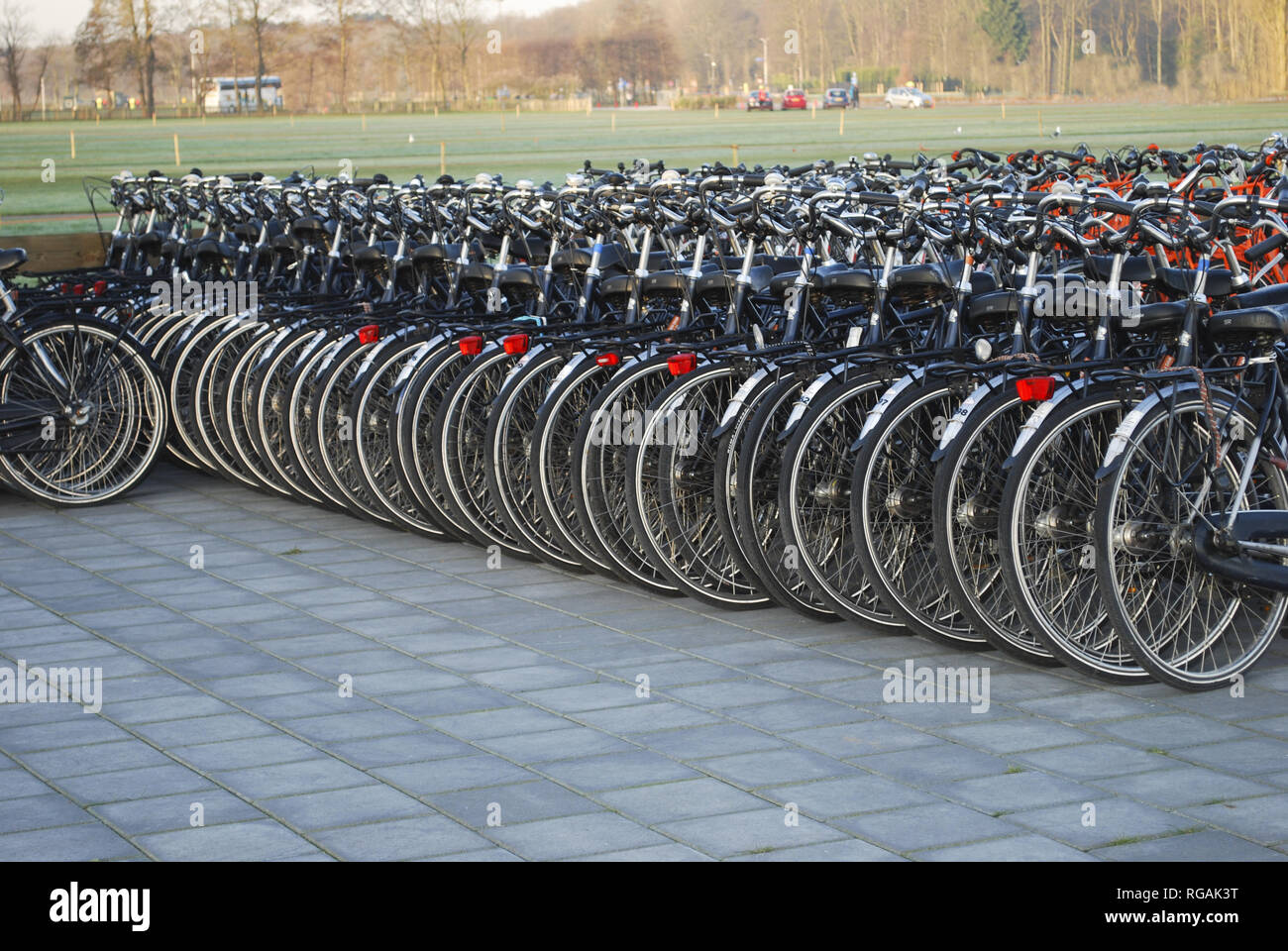 Many bike stand next to each other Stock Photo - Alamy