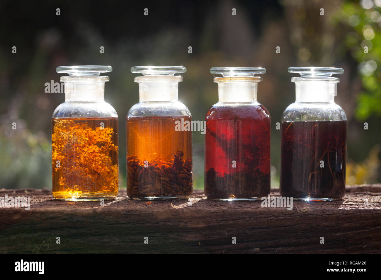 Tinkturen, Tinktur, alkoholischer Auszug, tincture, paint. Mädesüß ...