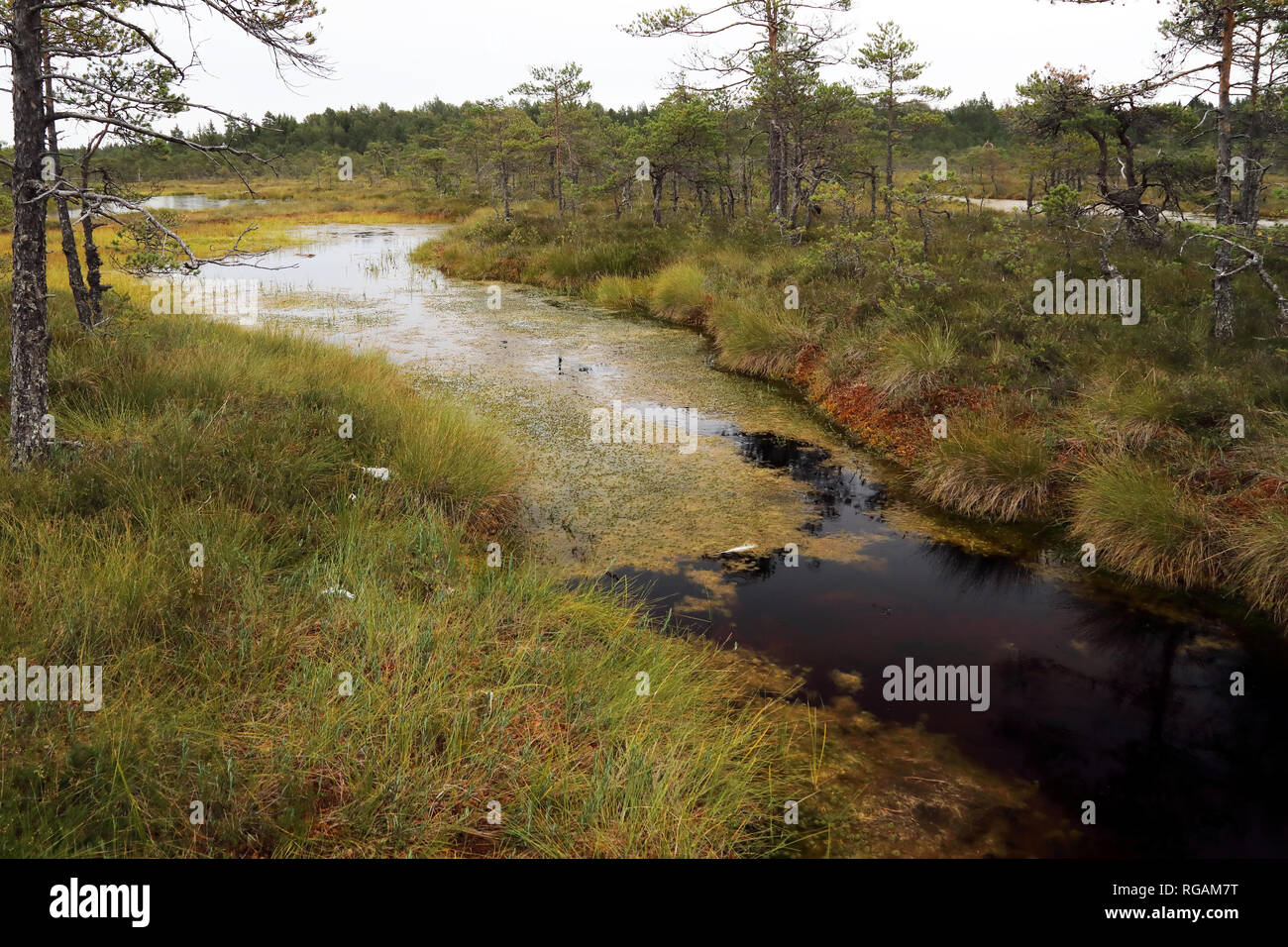 Watery landscape hi-res stock photography and images - Alamy