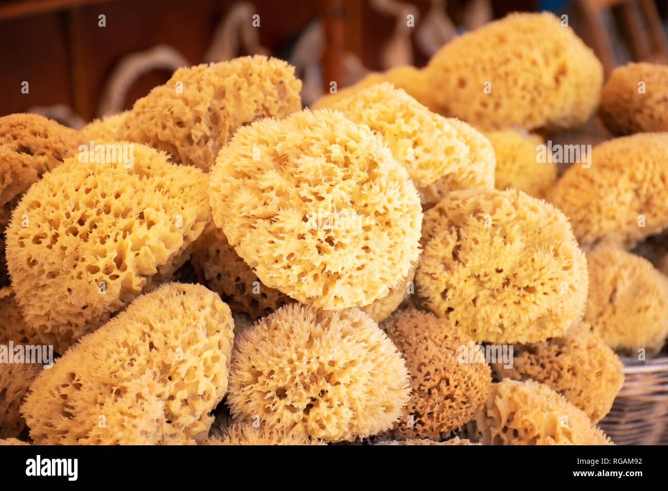 Sea sponge on display in street shop on Symi island (Rhodes, Greece ...