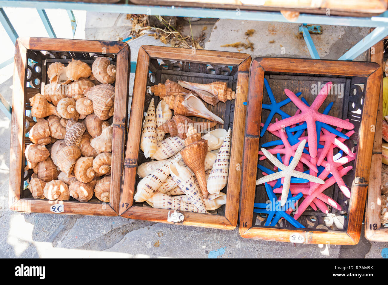 Seashells and star fishes on display in street shop on Symi island ...
