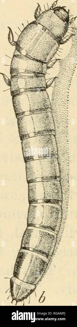 Stored oats hi-res stock photography and images - Alamy