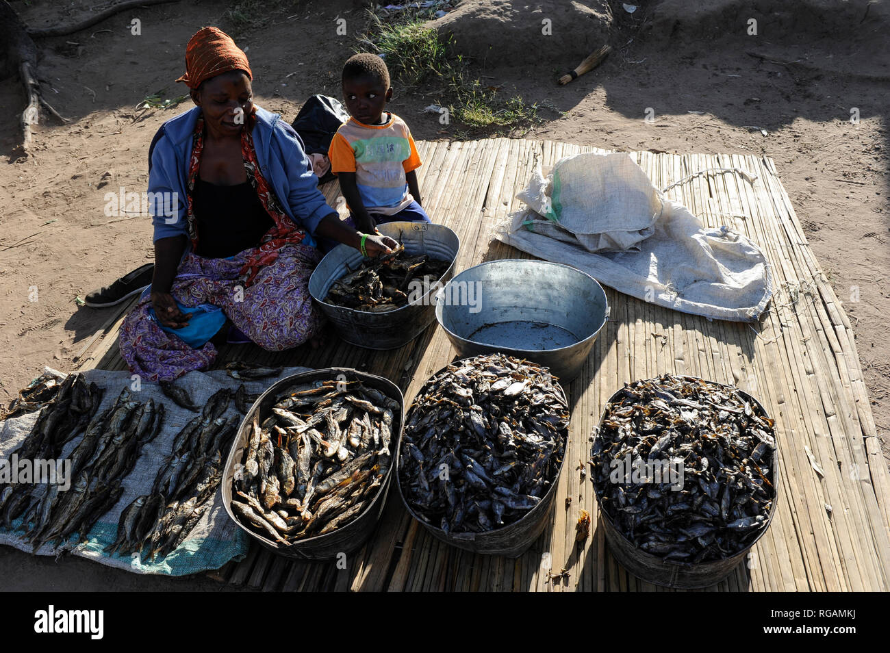 Small fisch hi-res stock photography and images - Alamy