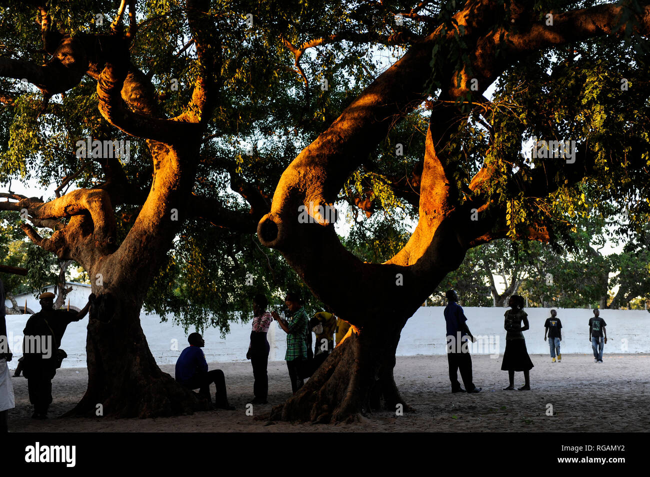 Meeting under the tree hi-res stock photography and images - Alamy