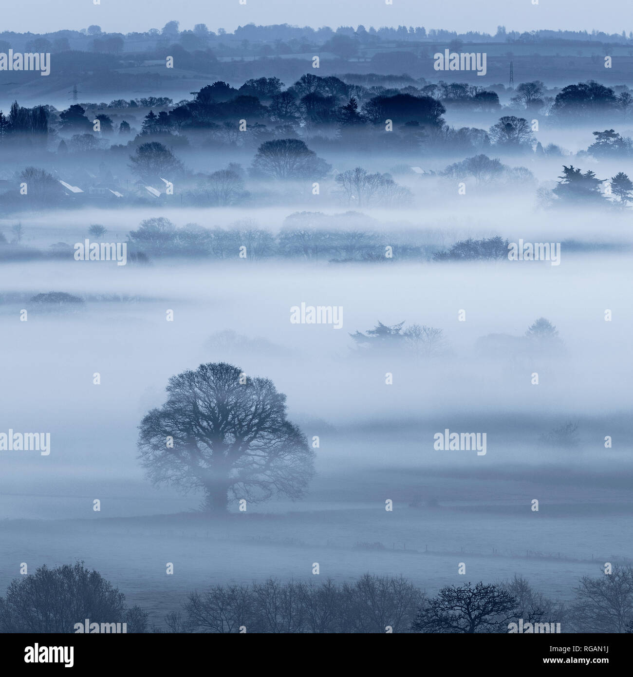 Mist over the Somerset countryside near East Coker, Somerset, England ...