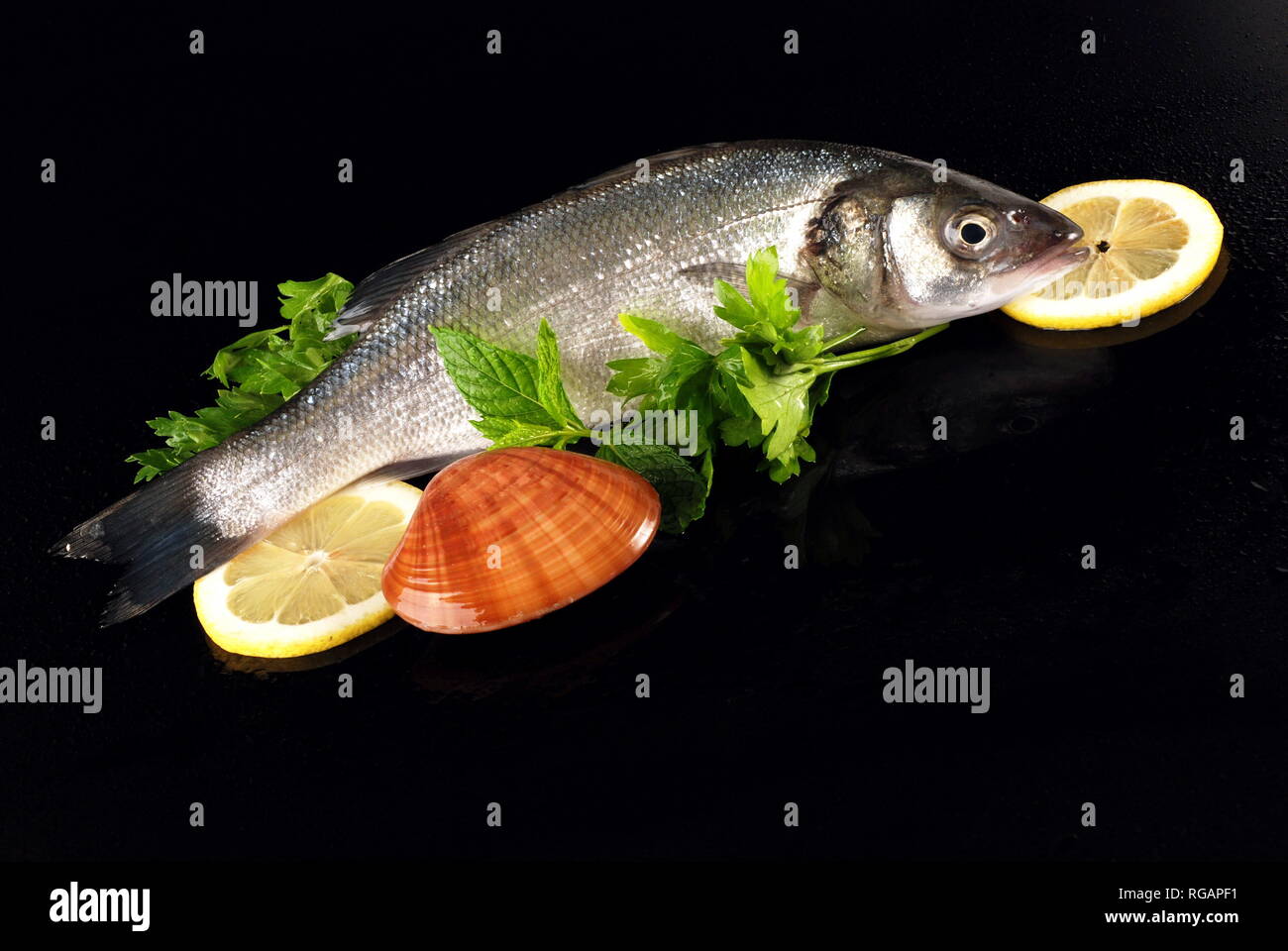 Yellowtail seabass hi-res stock photography and images - Alamy