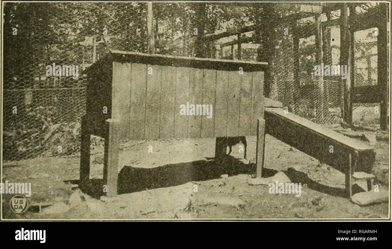 Breeding dens hi-res stock photography and images - Alamy