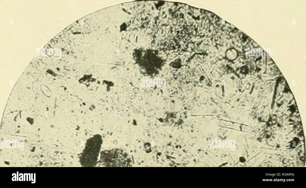 . Bulletin of the United States Fish Commission. Fisheries -- United ...