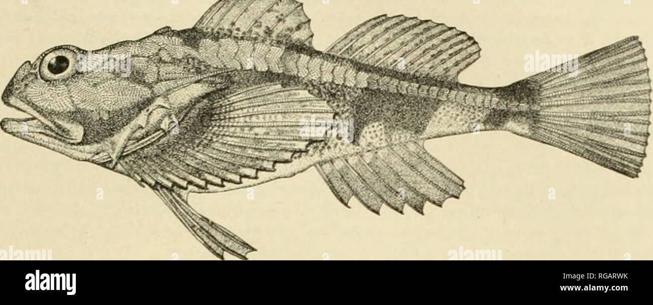 Adak Alaska High Resolution Stock Photography and Images - Alamy