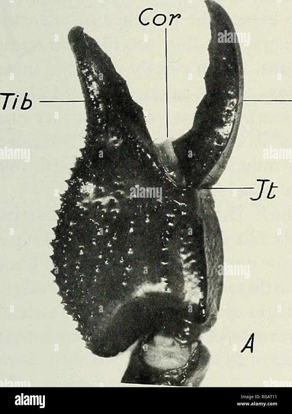 . Bulletin of the Southern California Academy of Sciences. Science ...