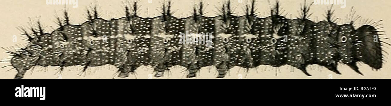 . Bulletin of the Southern California Academy of Sciences. Science ...