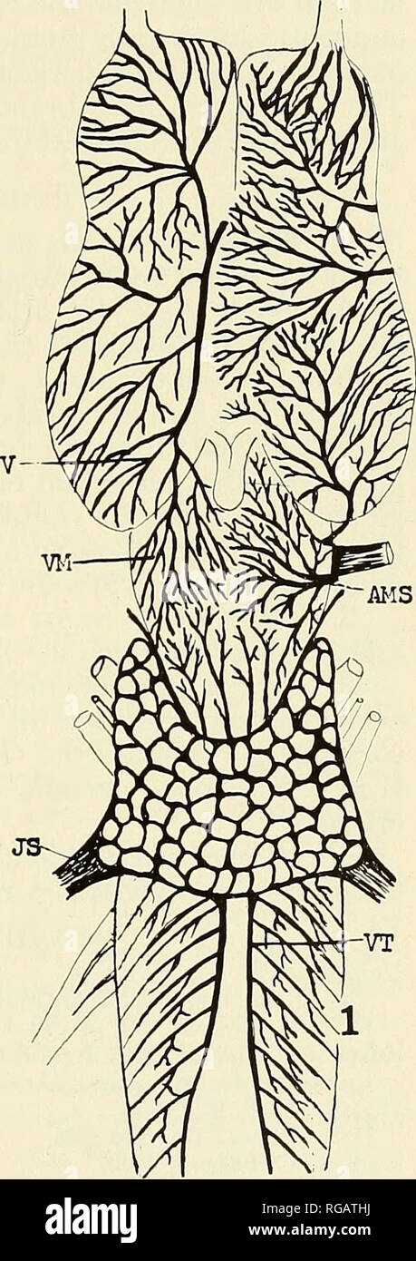 . Bulletin of the Southern California Academy of Sciences. Science ...