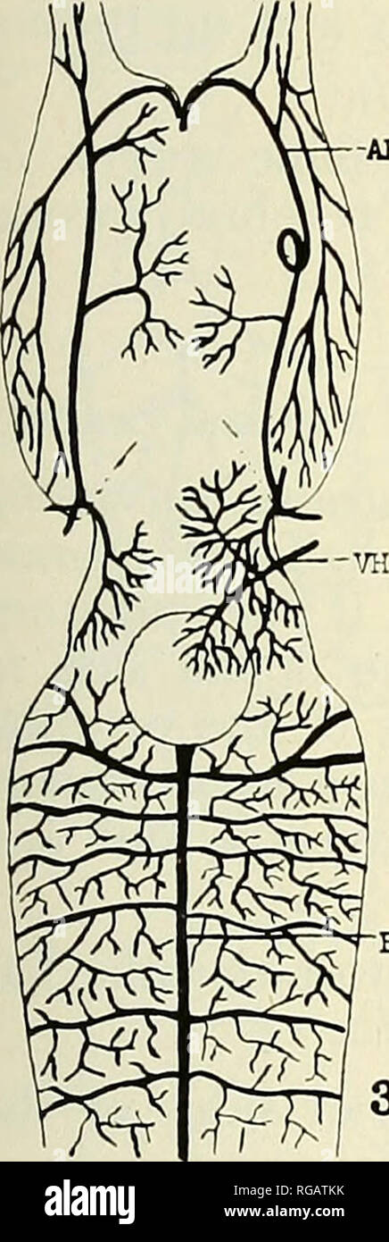 . Bulletin of the Southern California Academy of Sciences. Science ...