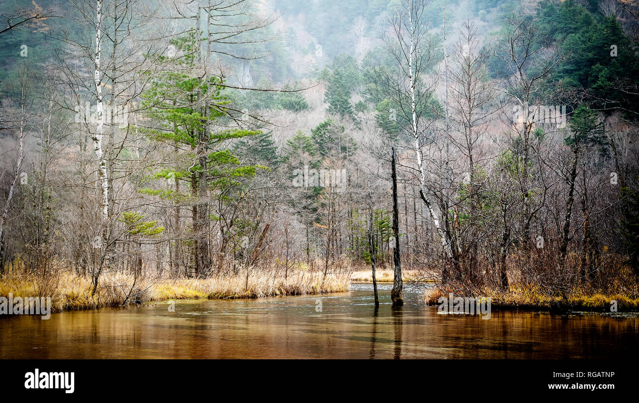 The Mountain river water landscape. Wild river in mountains. Mountain ...