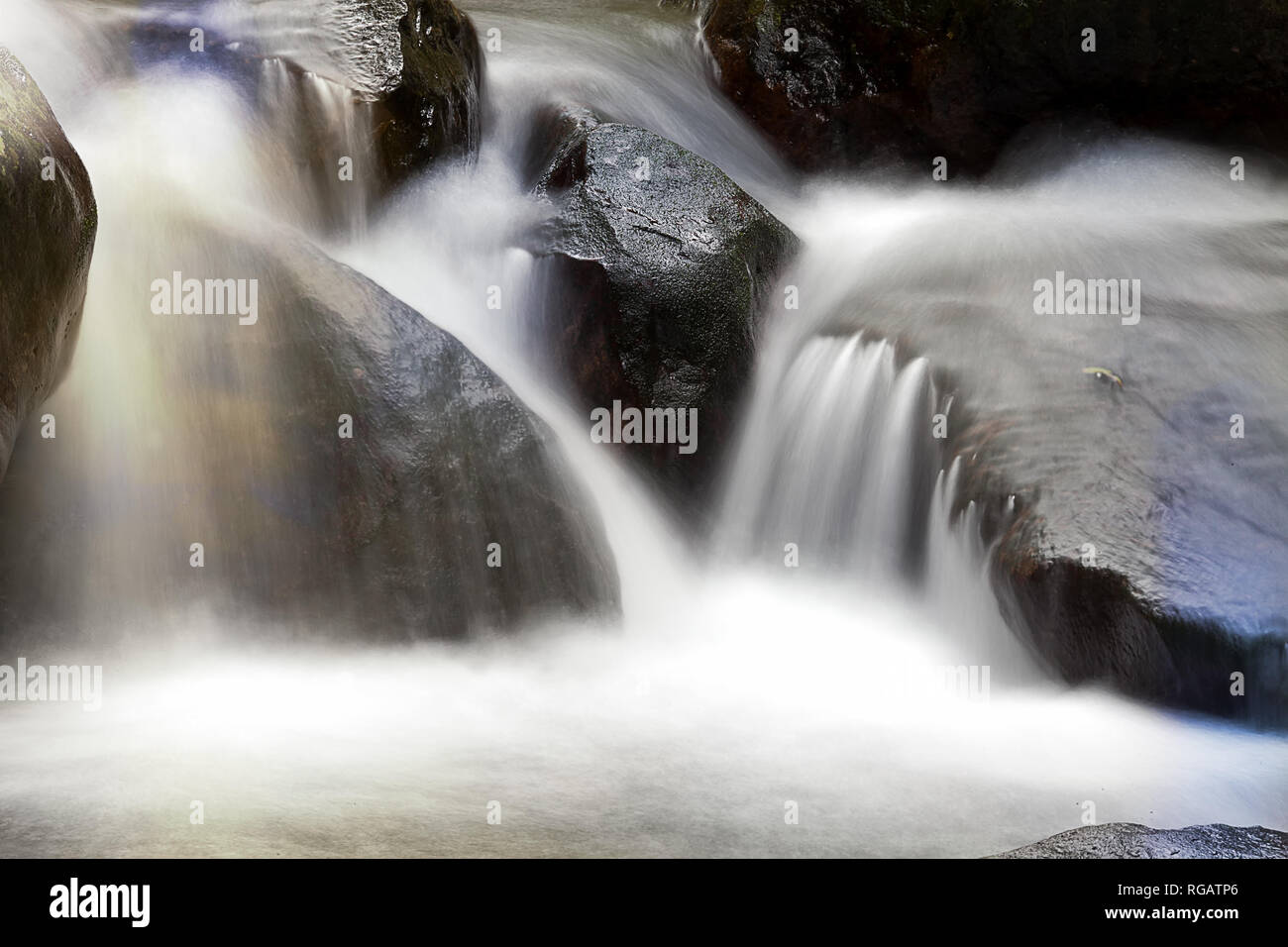 The river nature landscape with stream in rainforest nature Stock Photo ...