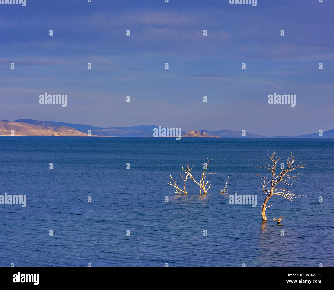 Pyramid Lake, Washoe County, Nevada Stock Photo - Alamy