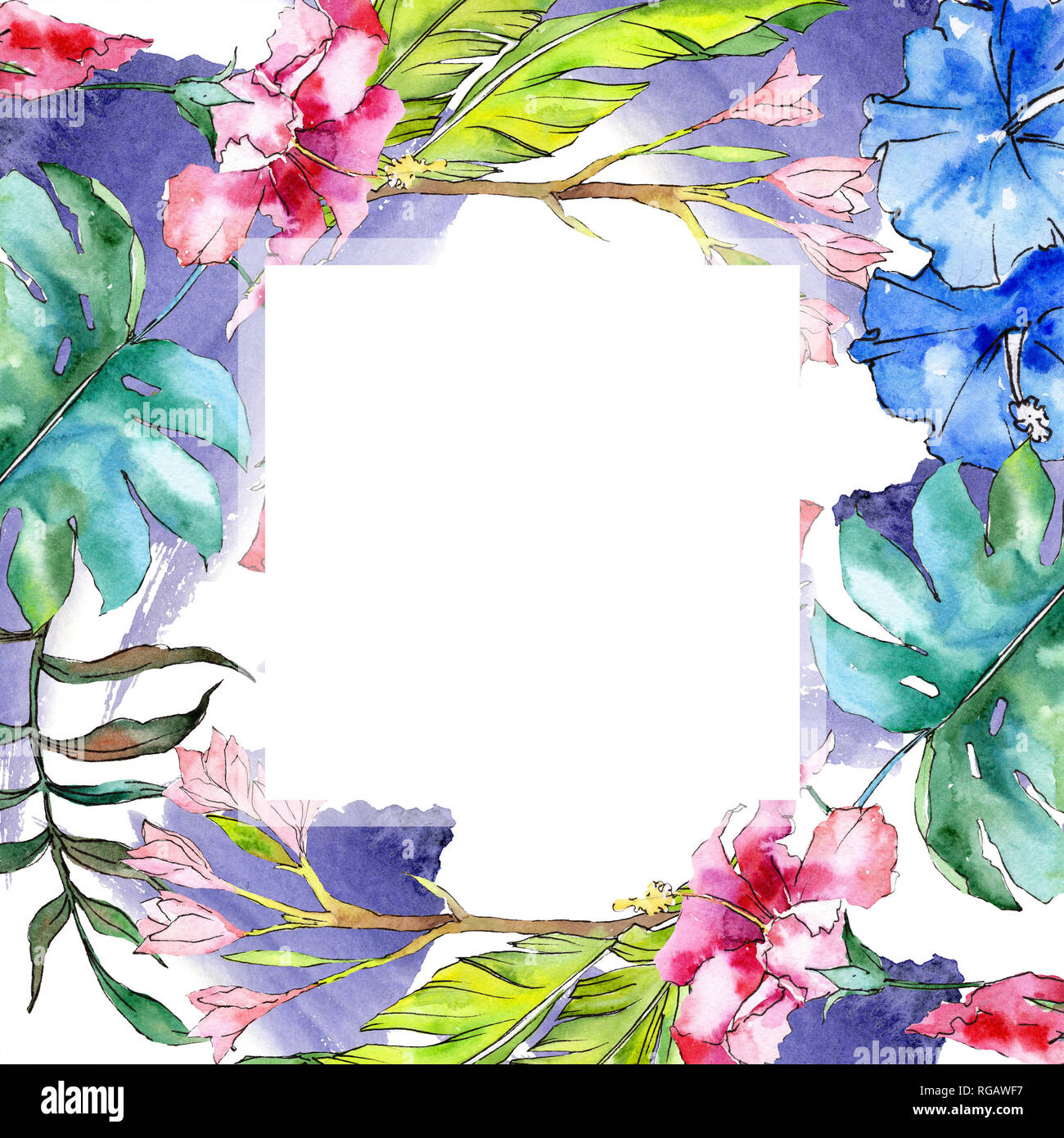 Hawaiian Flowers Border Border Aloha Flowers, Flower Border, Flower,