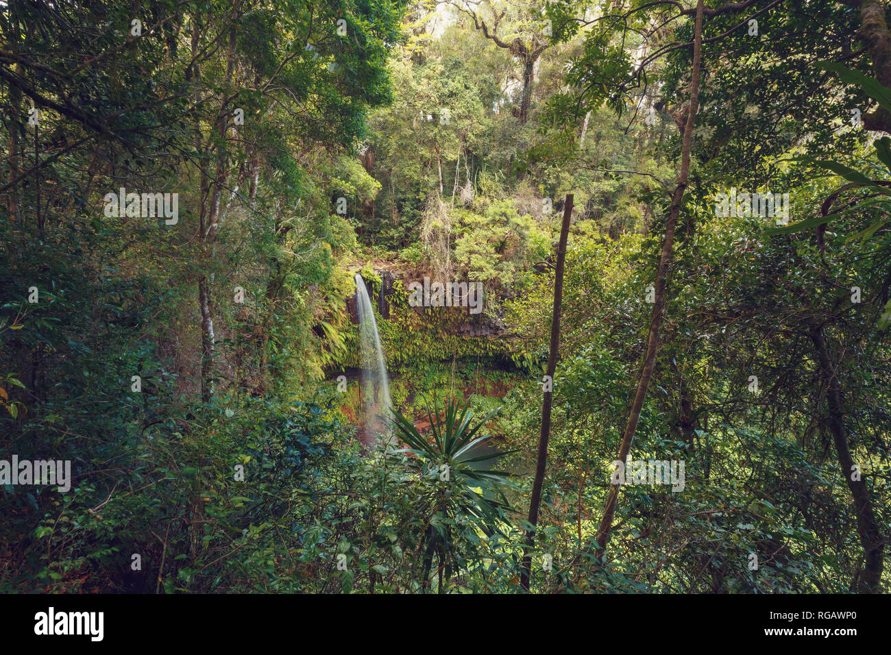 Waterfall in Le Domaine de Fontenay's private forest reserve, Amber ...