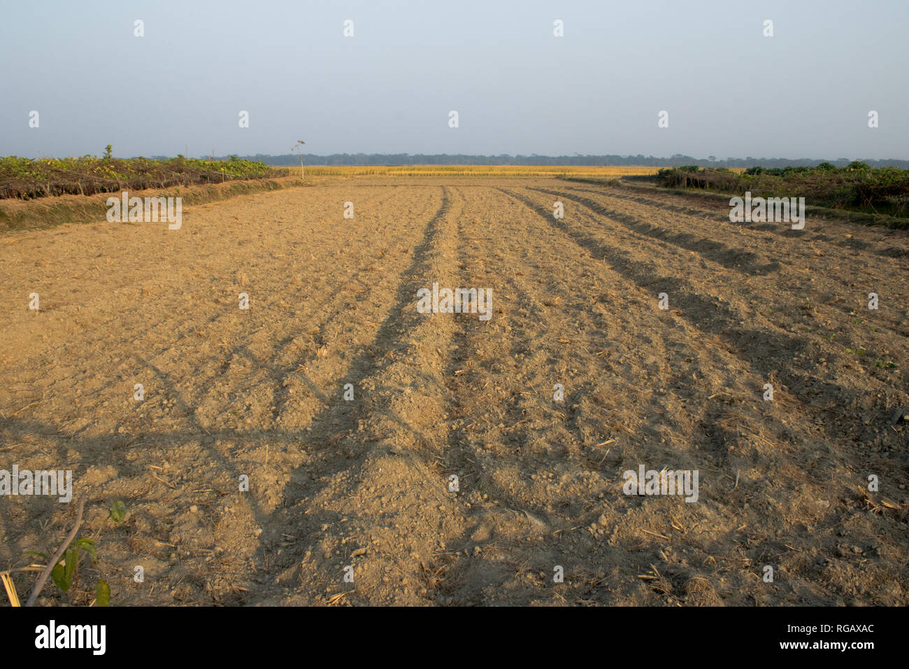 Scilent hi-res stock photography and images - Alamy