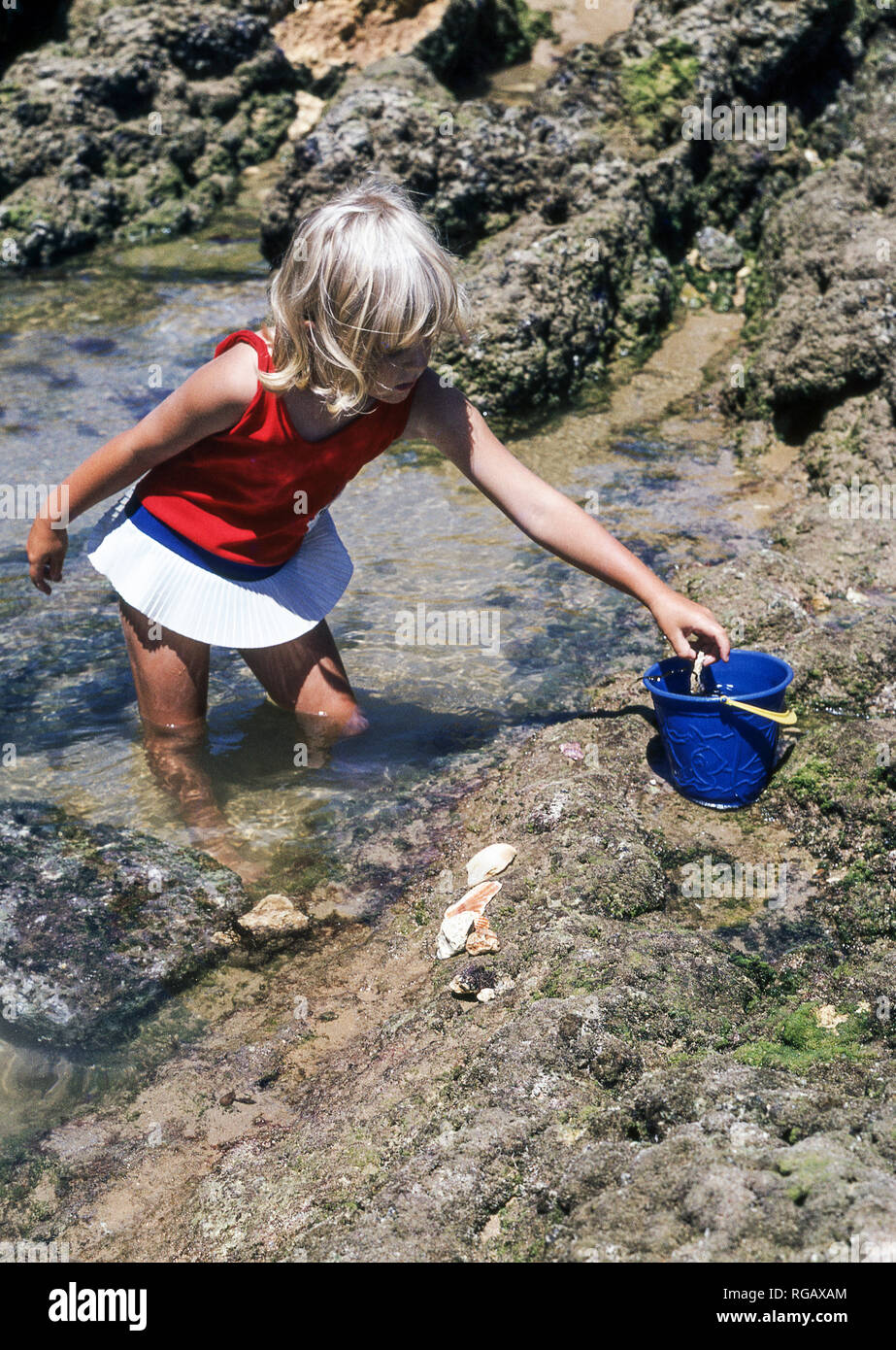 Young girl collecting shells and sea life in rock pools Stock Photo - Alamy