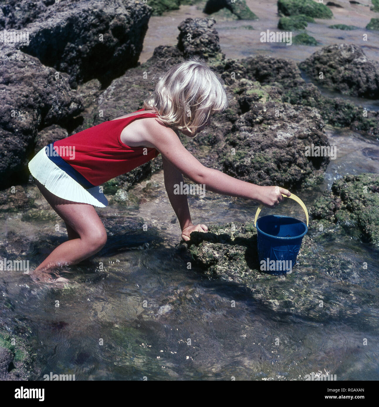 Child collecting shells hi-res stock photography and images - Alamy