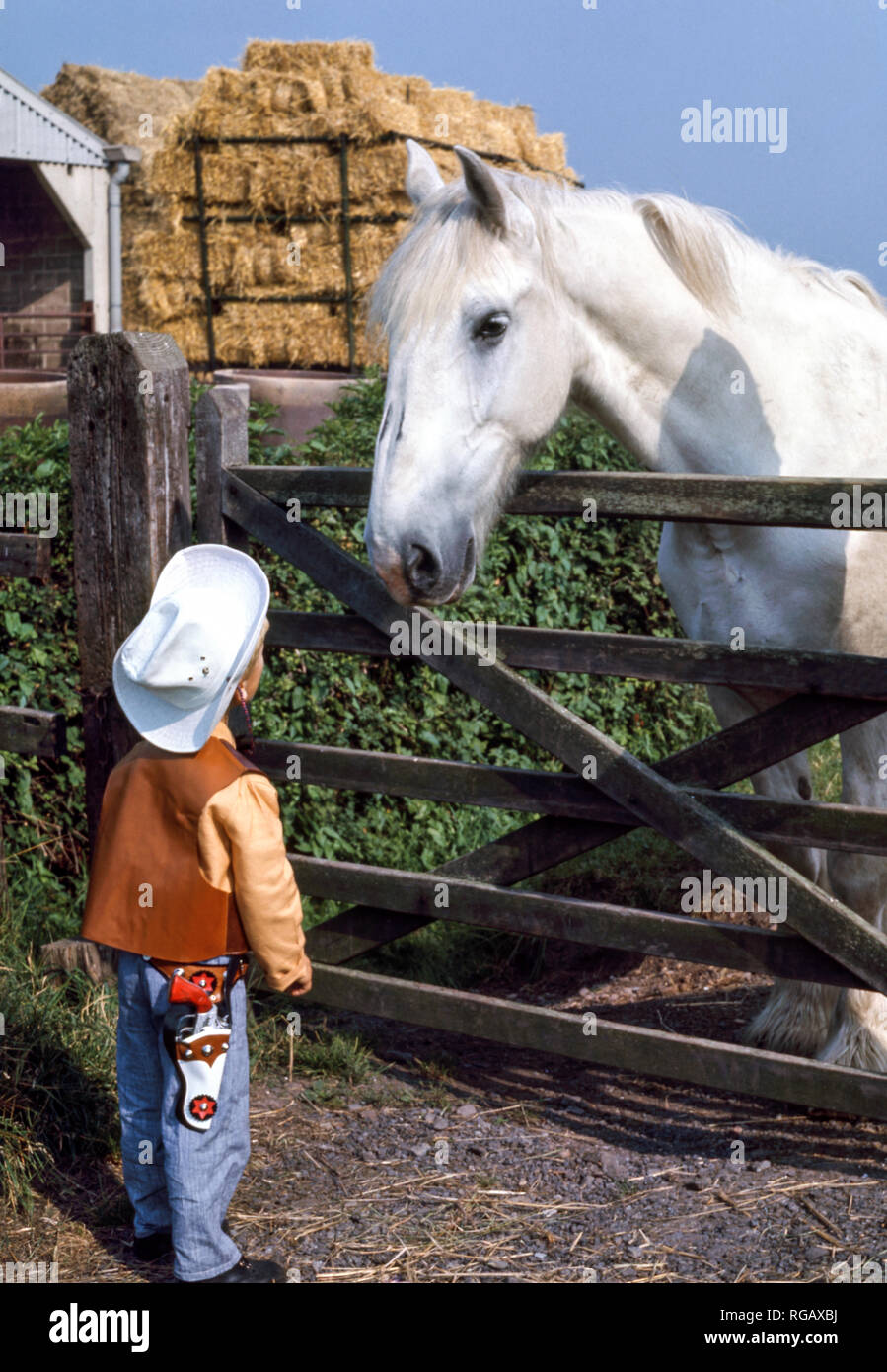 Small boy dressed as a cowboy with a very large Shire horse Stock Photo ...