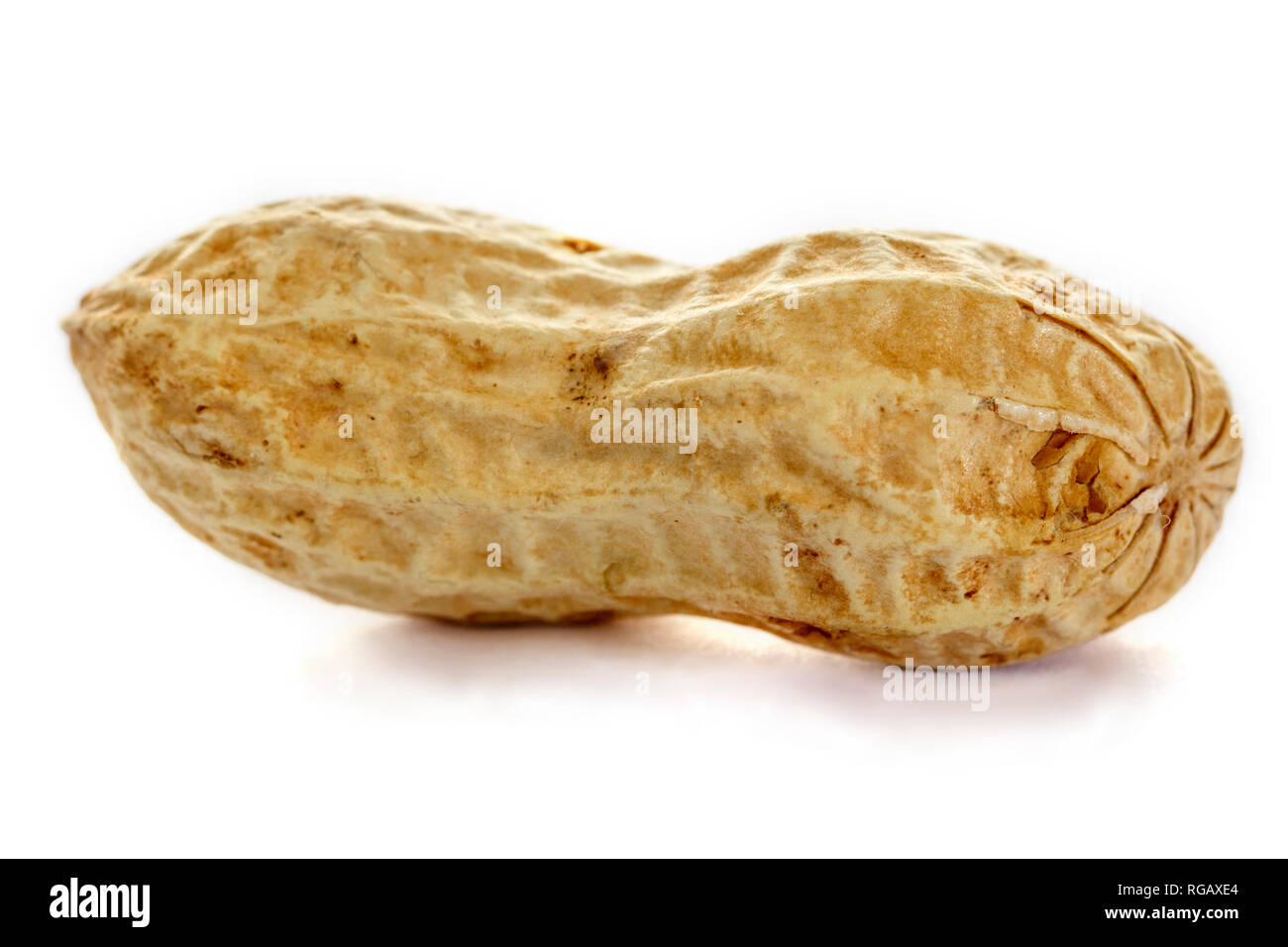 Untreated peanuts isolated on white background. Peanut Stock Photo - Alamy