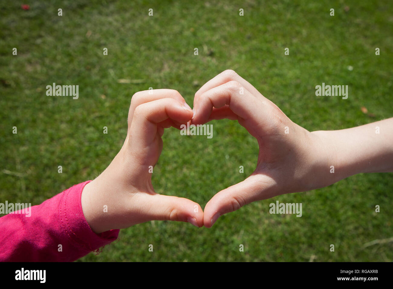 Children hands making a love heart sign above grass Stock Photo - Alamy