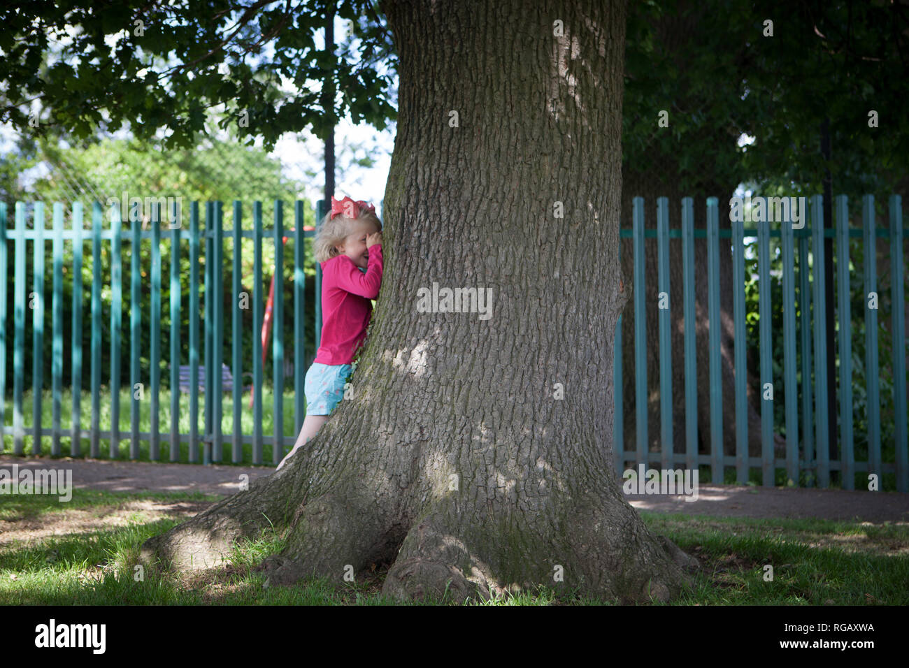 young caucasion girl peeking behind a tree and laughing Stock Photo - Alamy