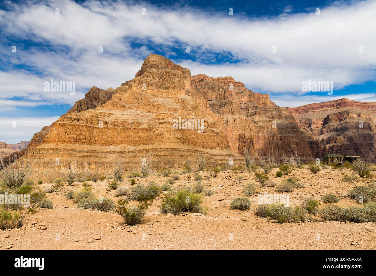 Kaibab limestone grand canyon hi-res stock photography and images - Alamy