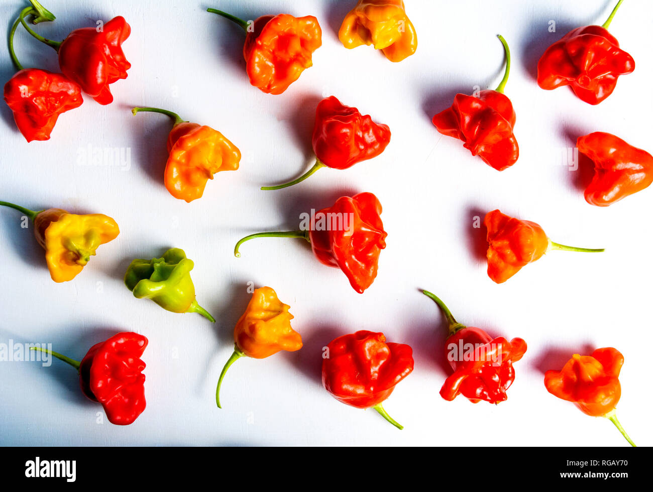 Bell shaped peppers hi-res stock photography and images - Alamy