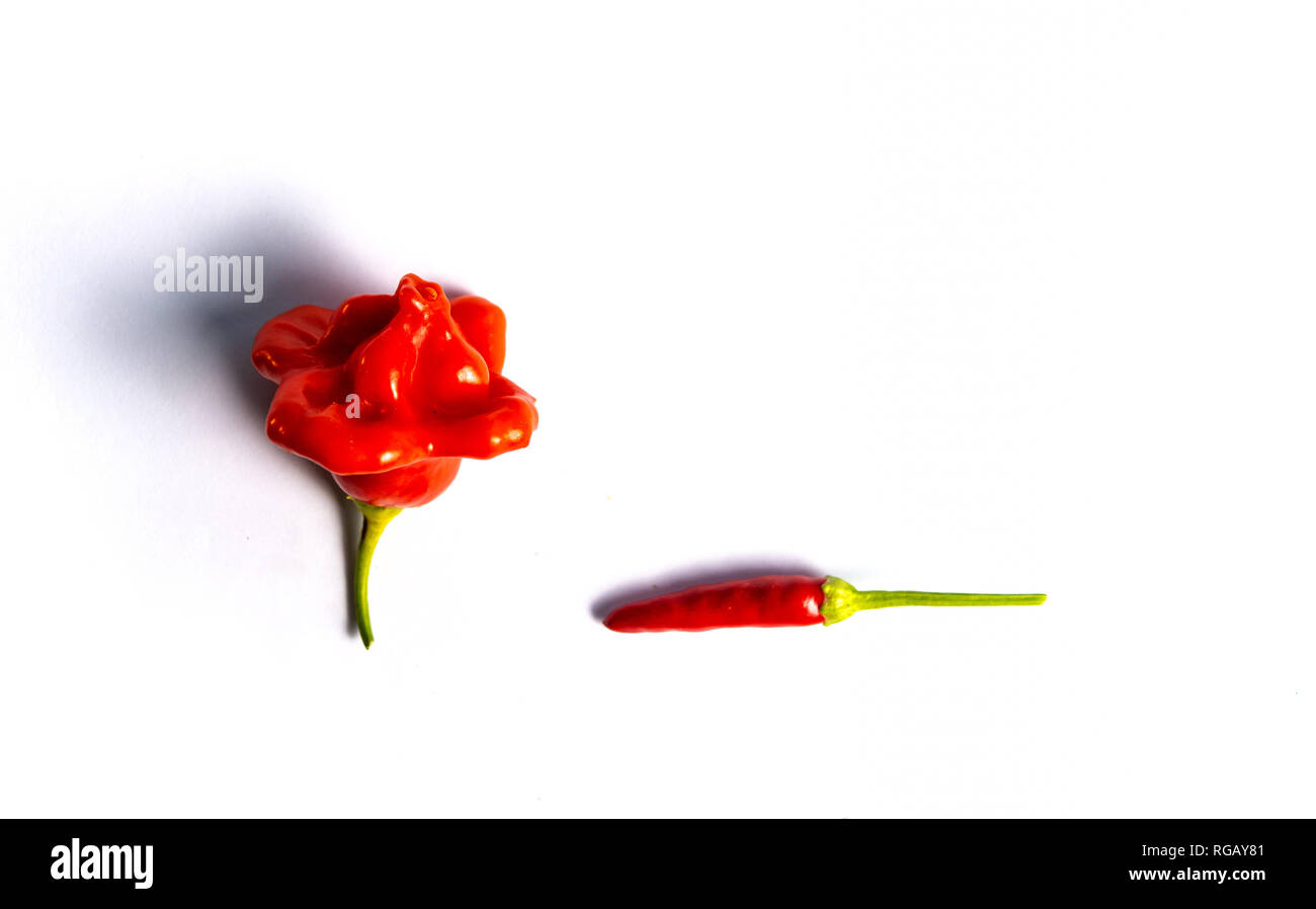 Bell pepper flower Cut Out Stock Images & Pictures - Alamy
