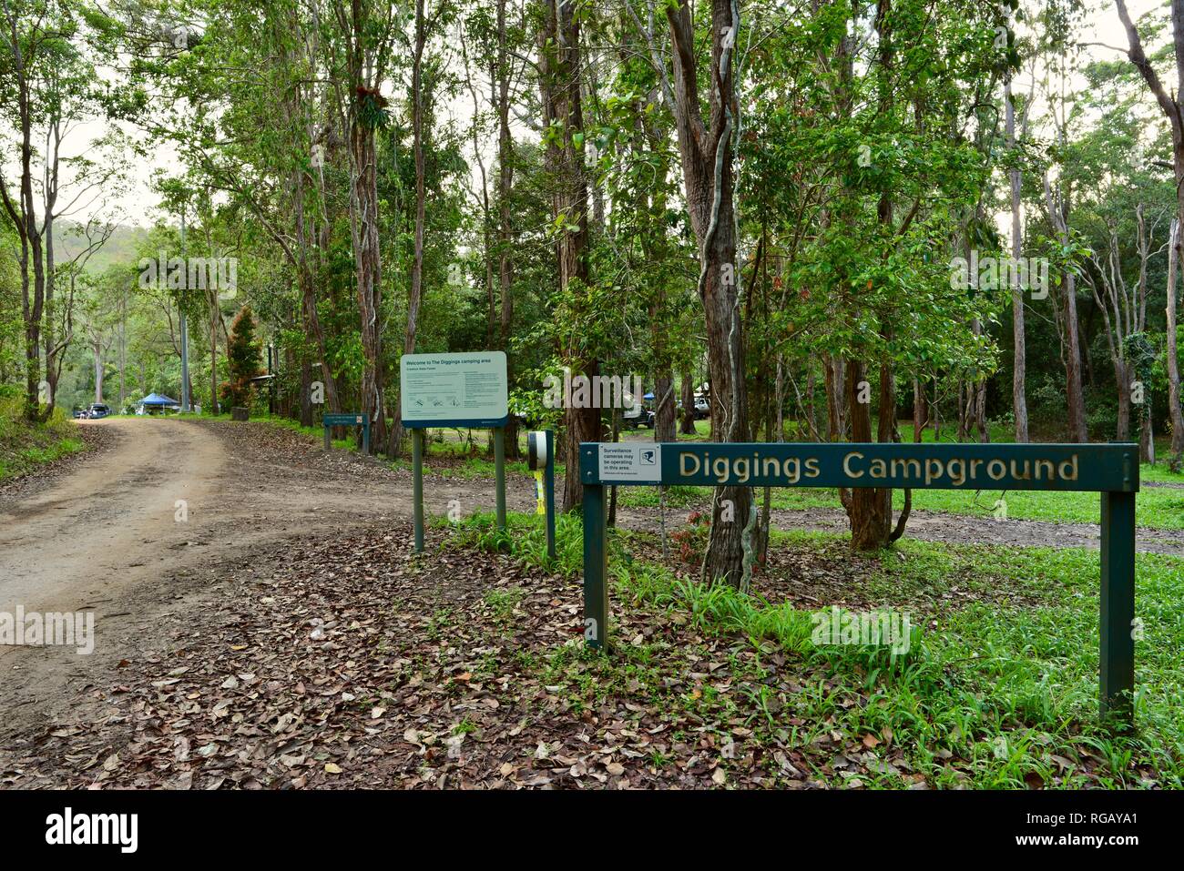 The digging campsite sign, Bush camp at The Diggings, Crediton state ...