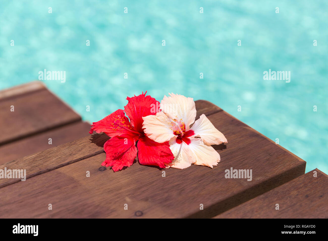 Bora bora flower hi-res stock photography and images - Alamy