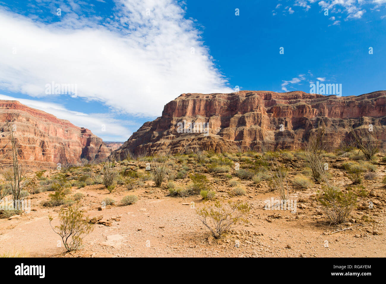 Grand canyon cliffs hi-res stock photography and images - Alamy