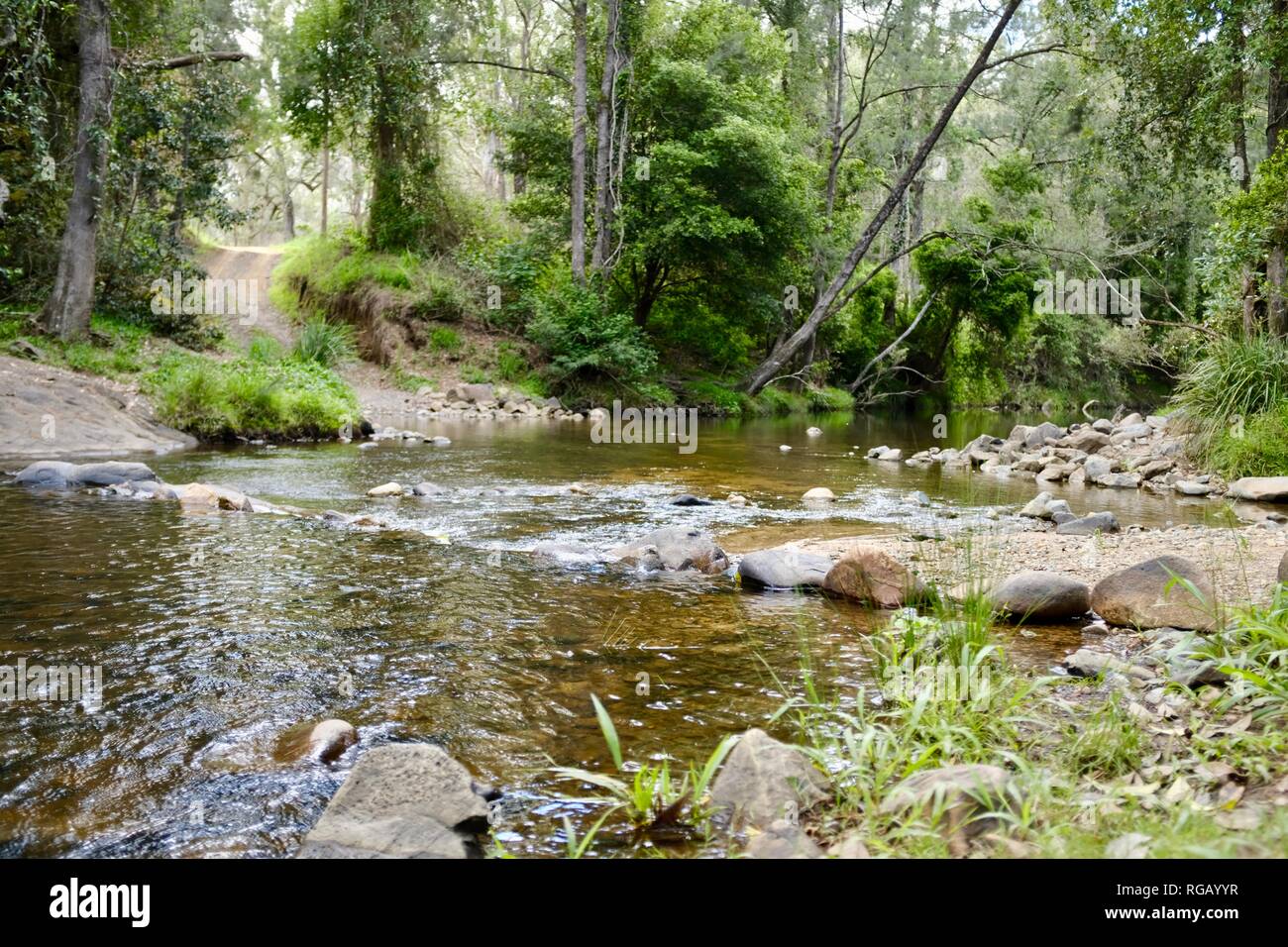 Bush camp at The Diggings, Crediton state forest, Eungella National ...