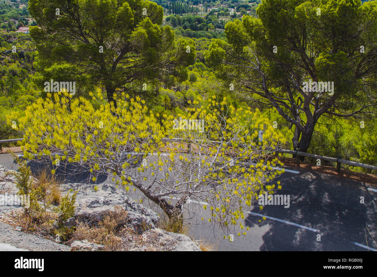 French Country Roads Stock Photo - Alamy