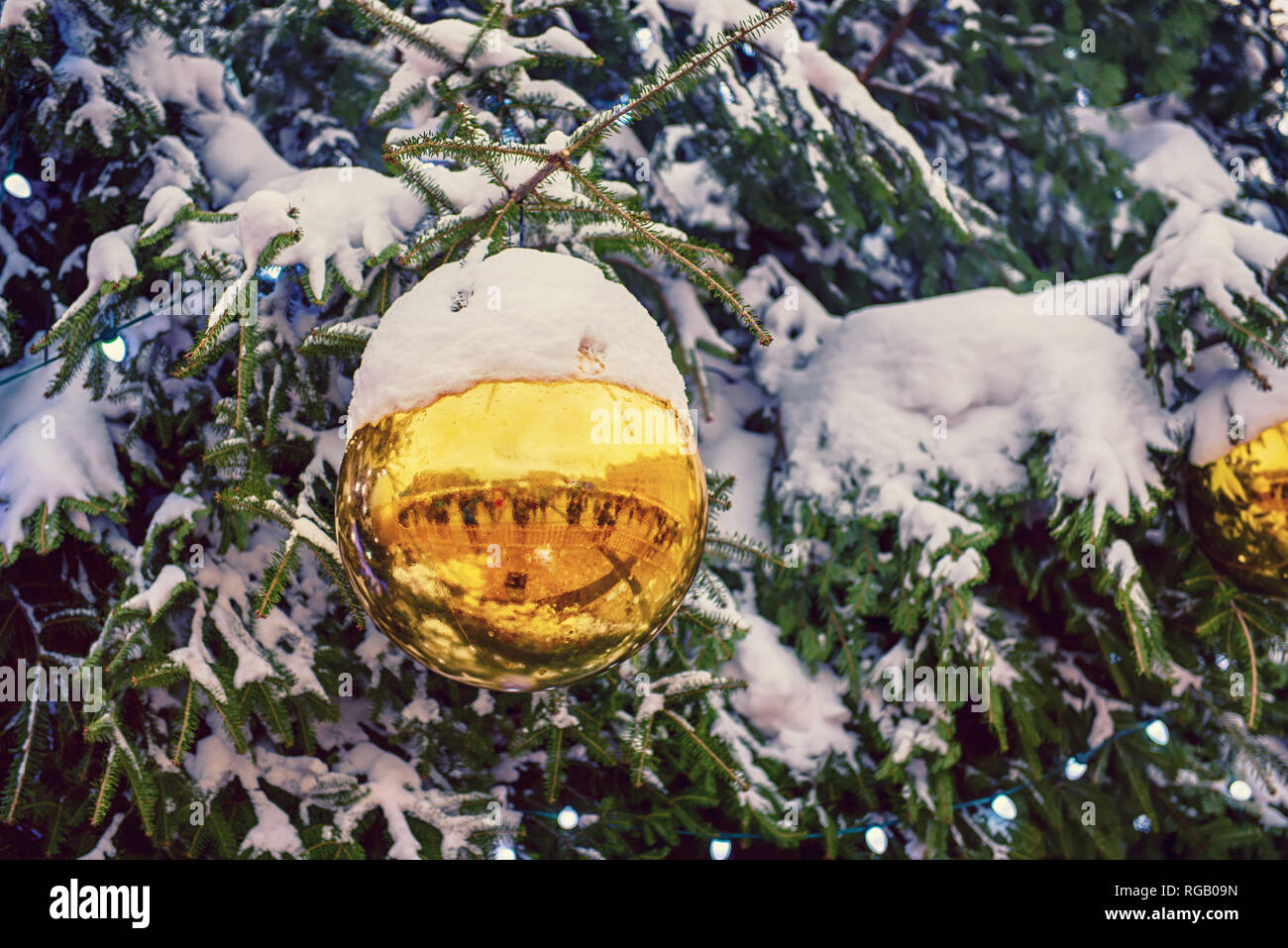Christmas ball on a tree Stock Photo - Alamy