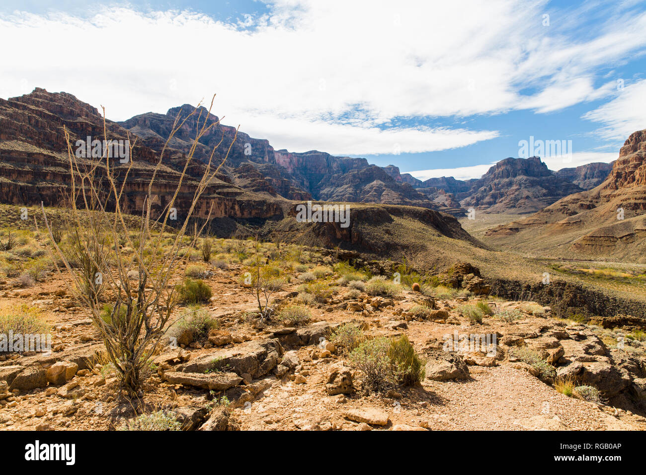 Colorado plateau desert hi-res stock photography and images - Alamy