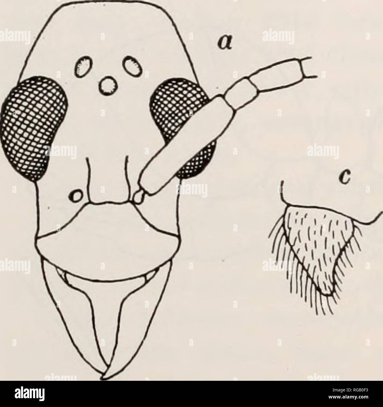 . Bulletin of the Museum of Comparative Zoology at Harvard College ...