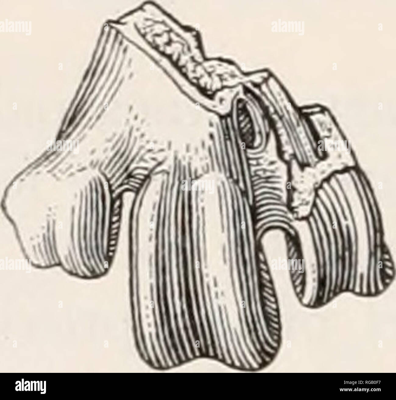 Torrington wyoming hi-res stock photography and images - Alamy