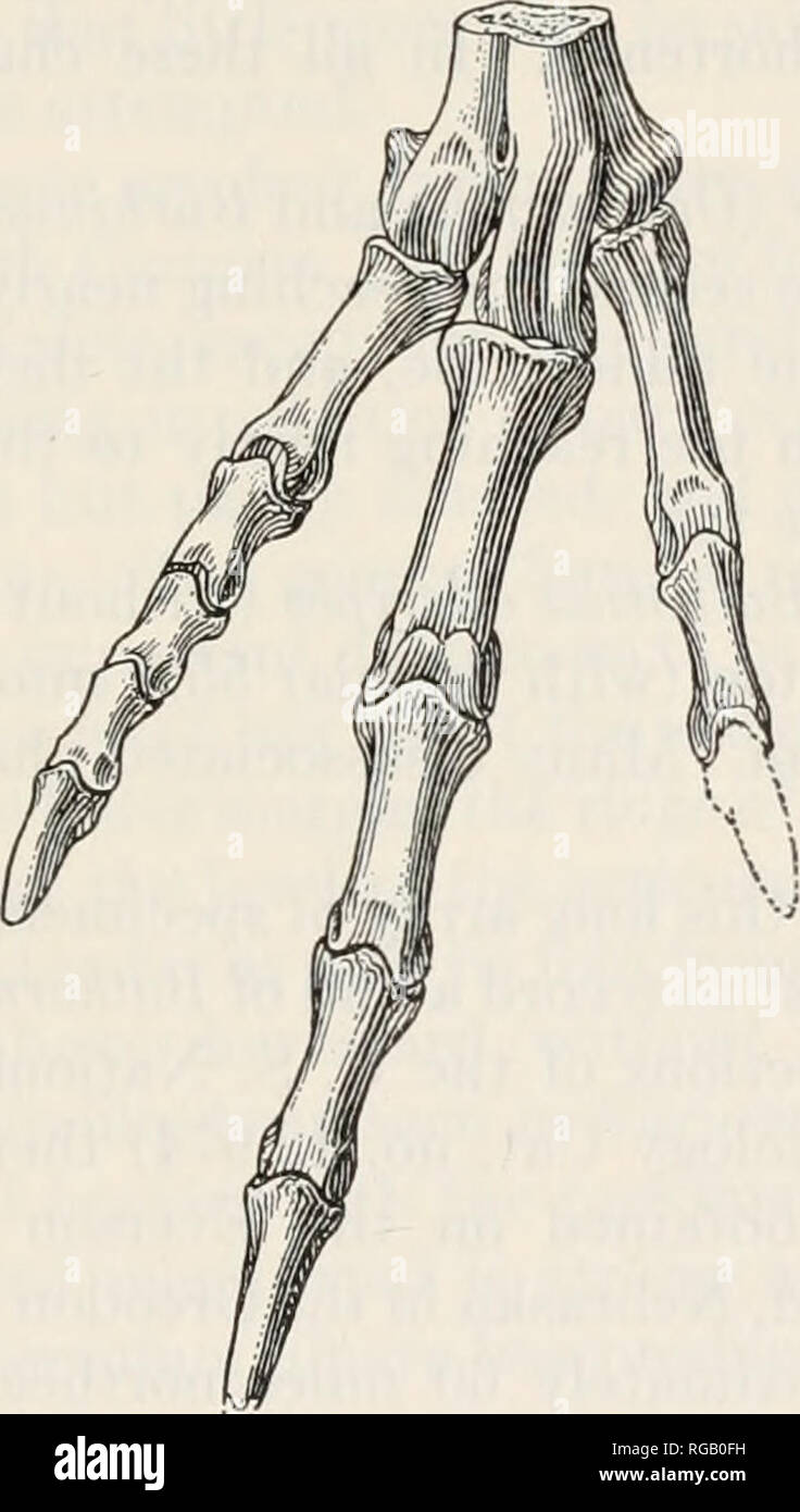 . Bulletin of the Museum of Comparative Zoology at Harvard College ...