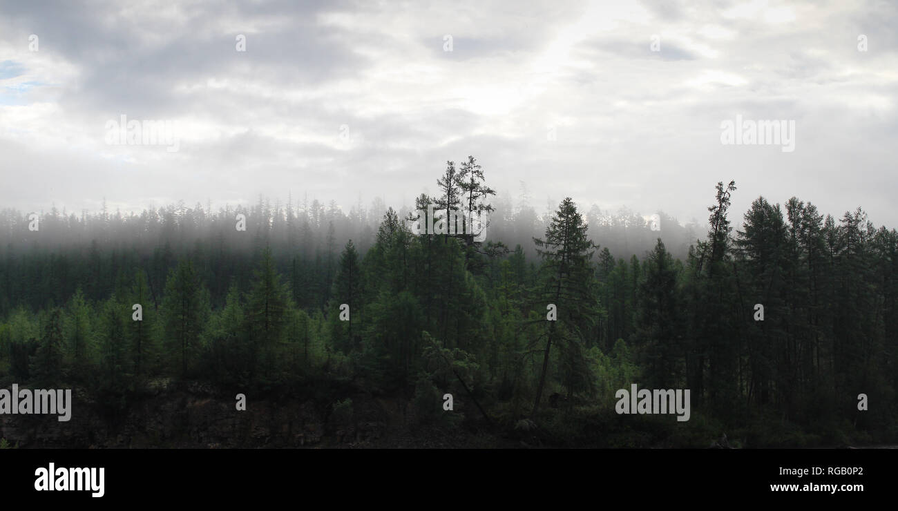 Aerial misty forest hi-res stock photography and images - Alamy