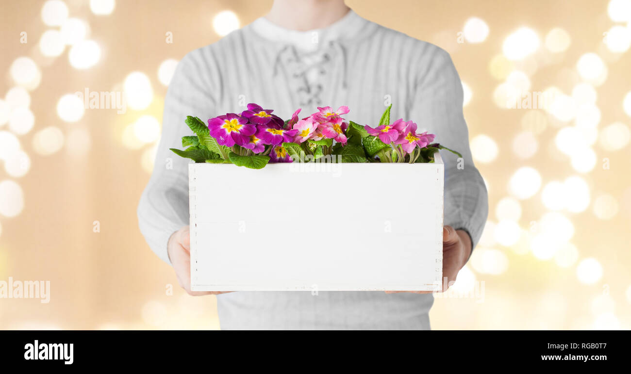 Male gardener showing box flower hi-res stock photography and images ...