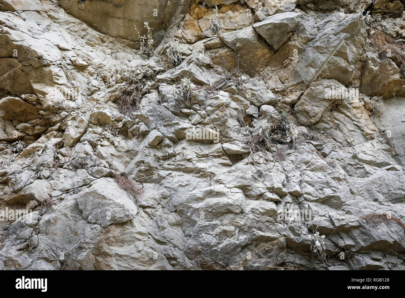 Part of layered rock formation with uneven surface and small plants in ...
