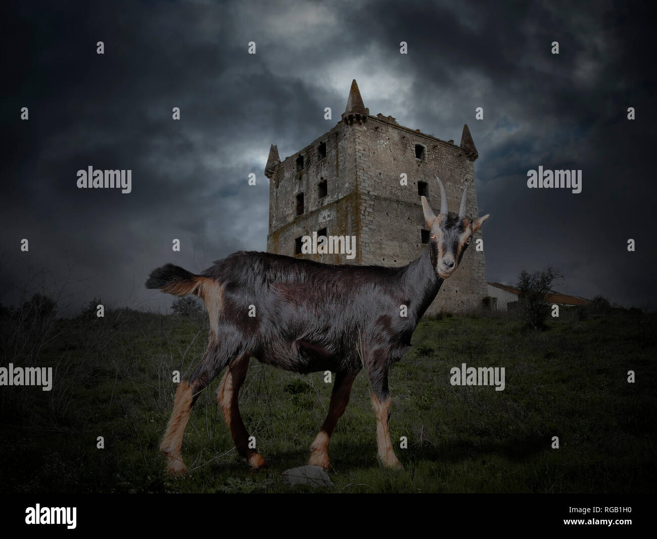 Medieval art creepy hi-res stock photography and images - Alamy