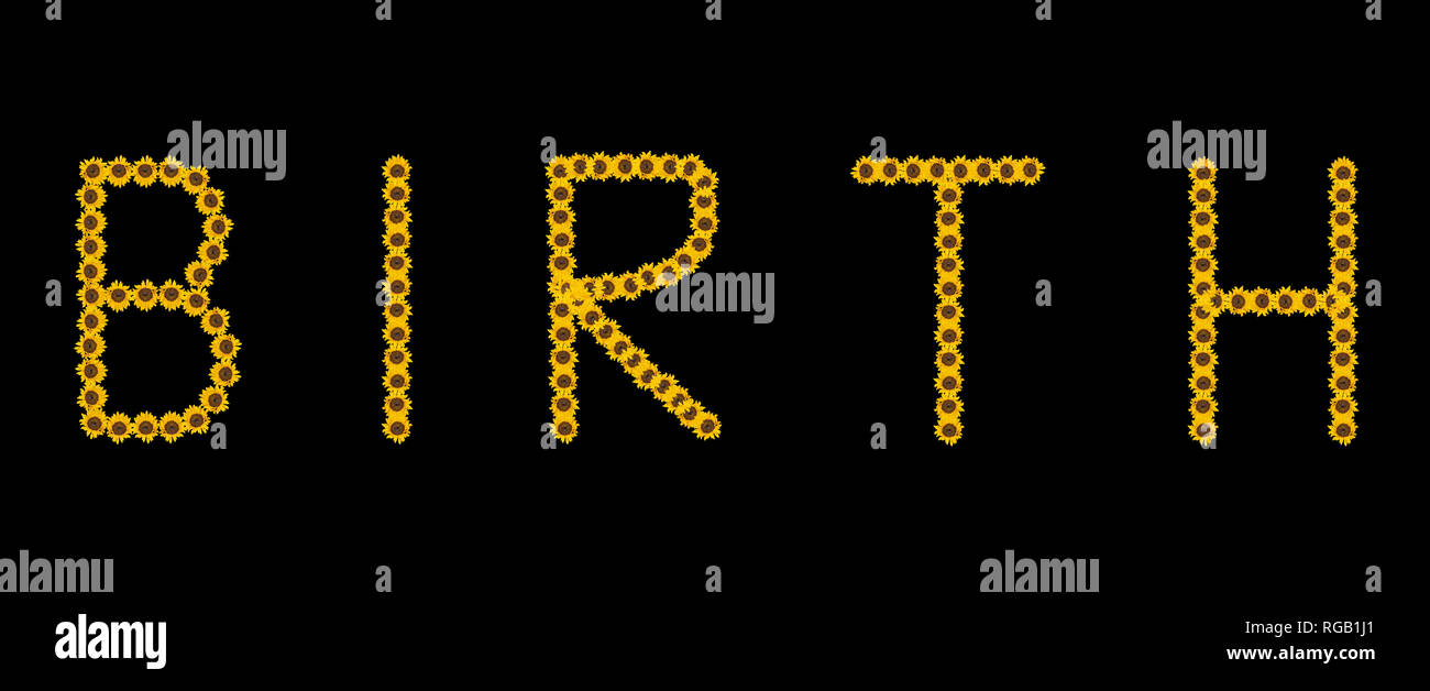 Fine art still life color image of the word birth constructed from ...