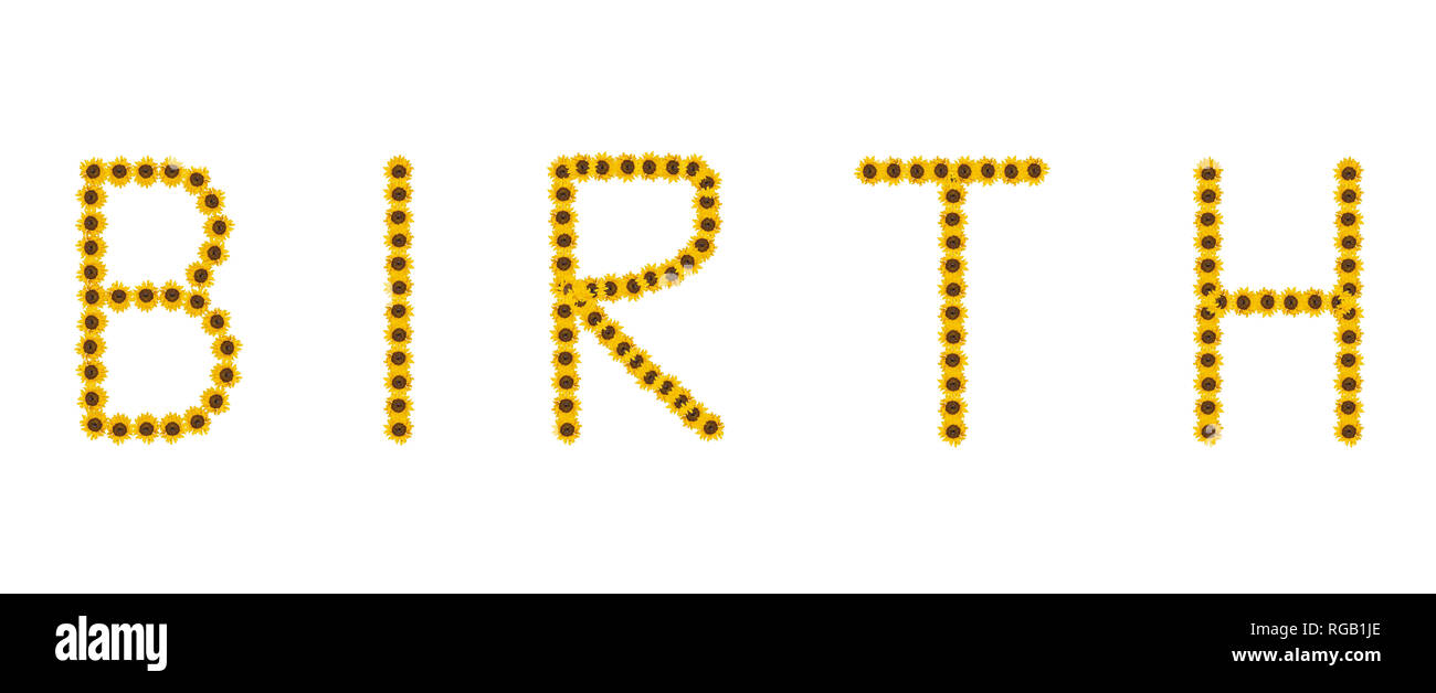 Fine art still life color image of the word birth constructed from ...