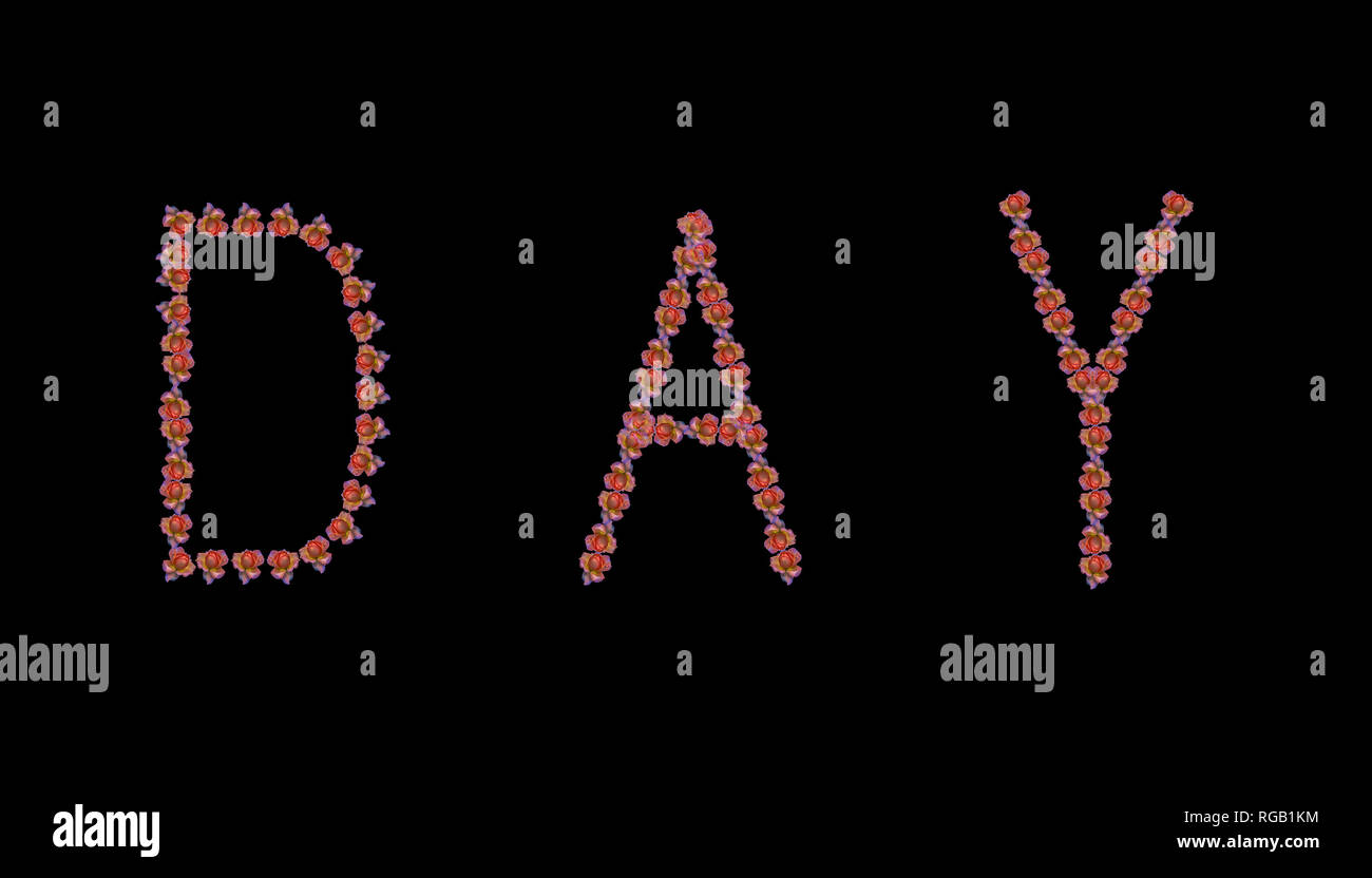 Fine art still life color image of the word day constructed from floral ...
